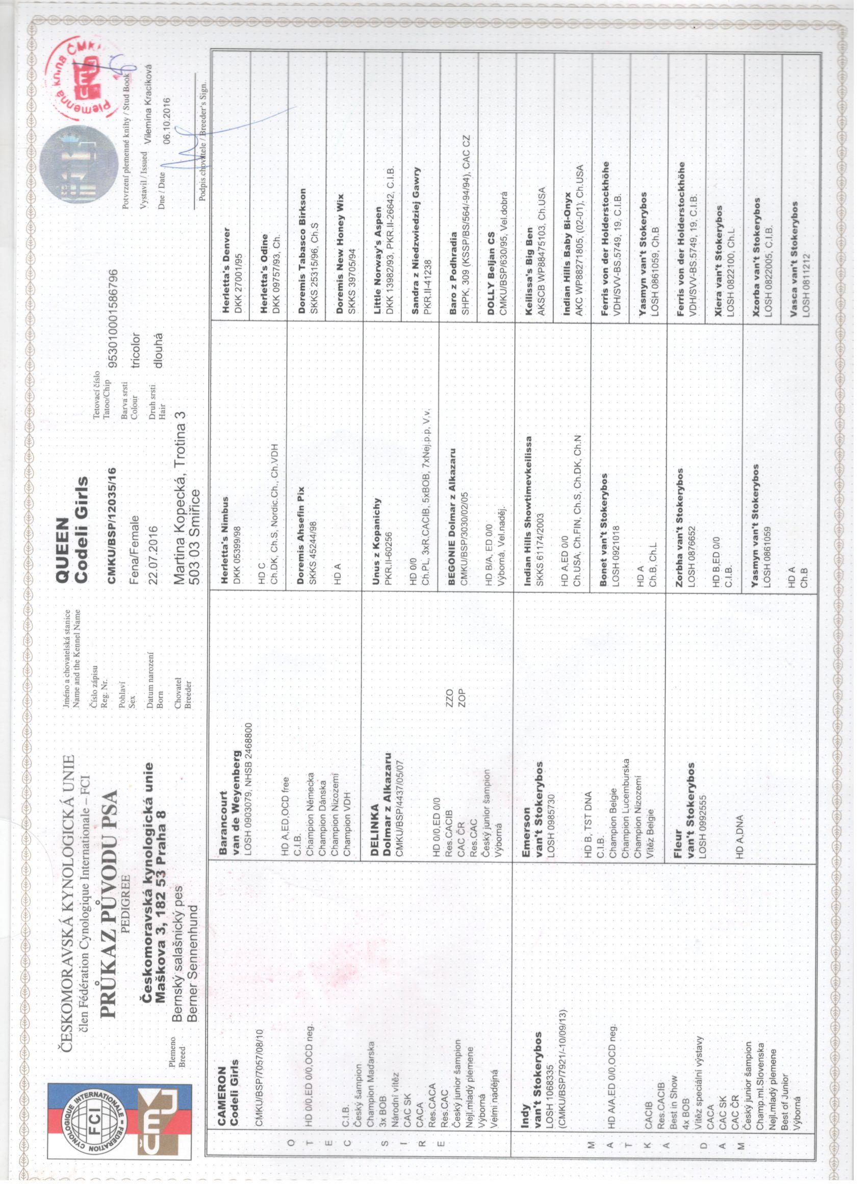 QUEEN Codeligirls :: Codeli